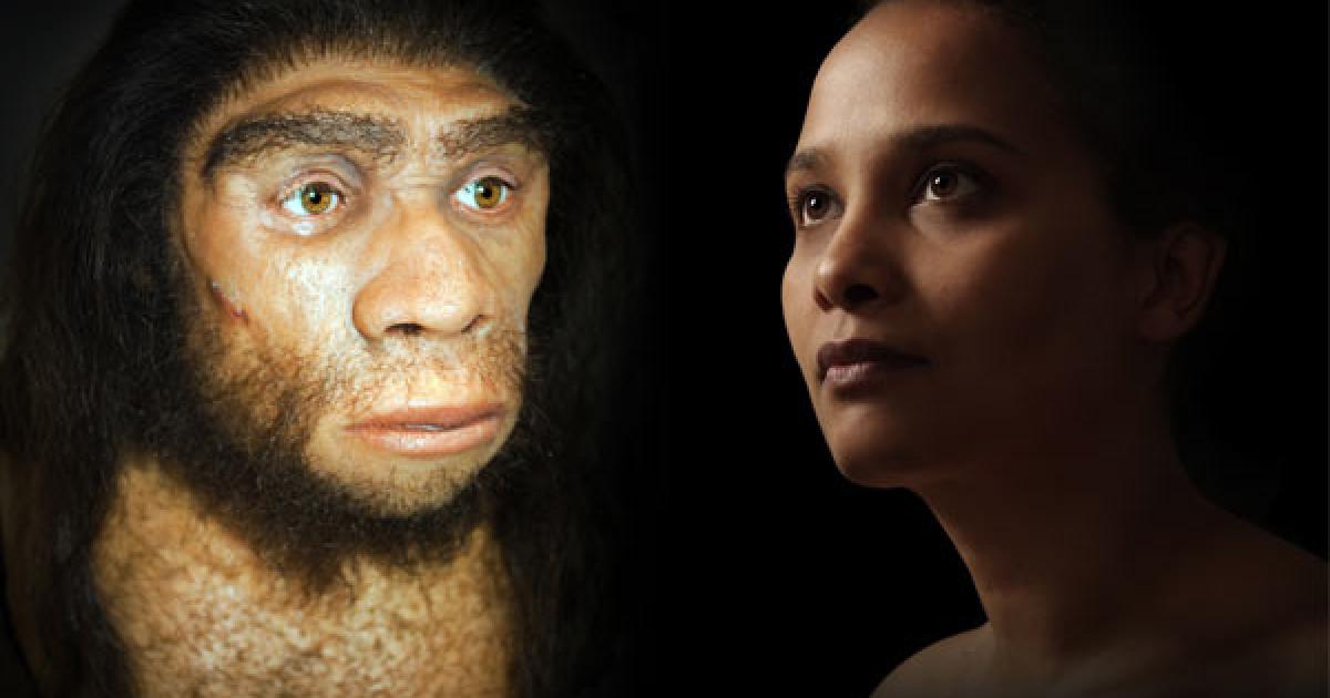 Neanderthals And Humans Interbreeding An Unknown Human Ancestor May Neanderthals And Humans Interbreeding An Unknown Human Ancestor May