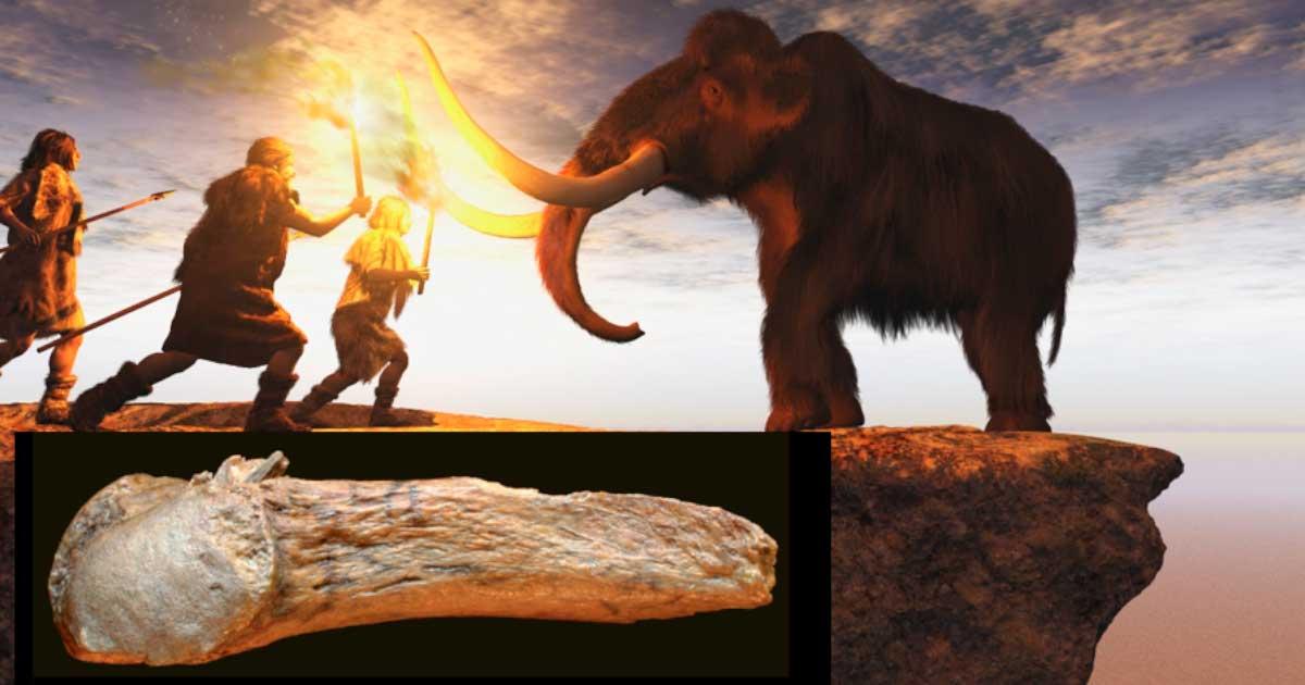 Oldest Bone Projectile Point in the Americas Found Stuck in a Mastodon ...