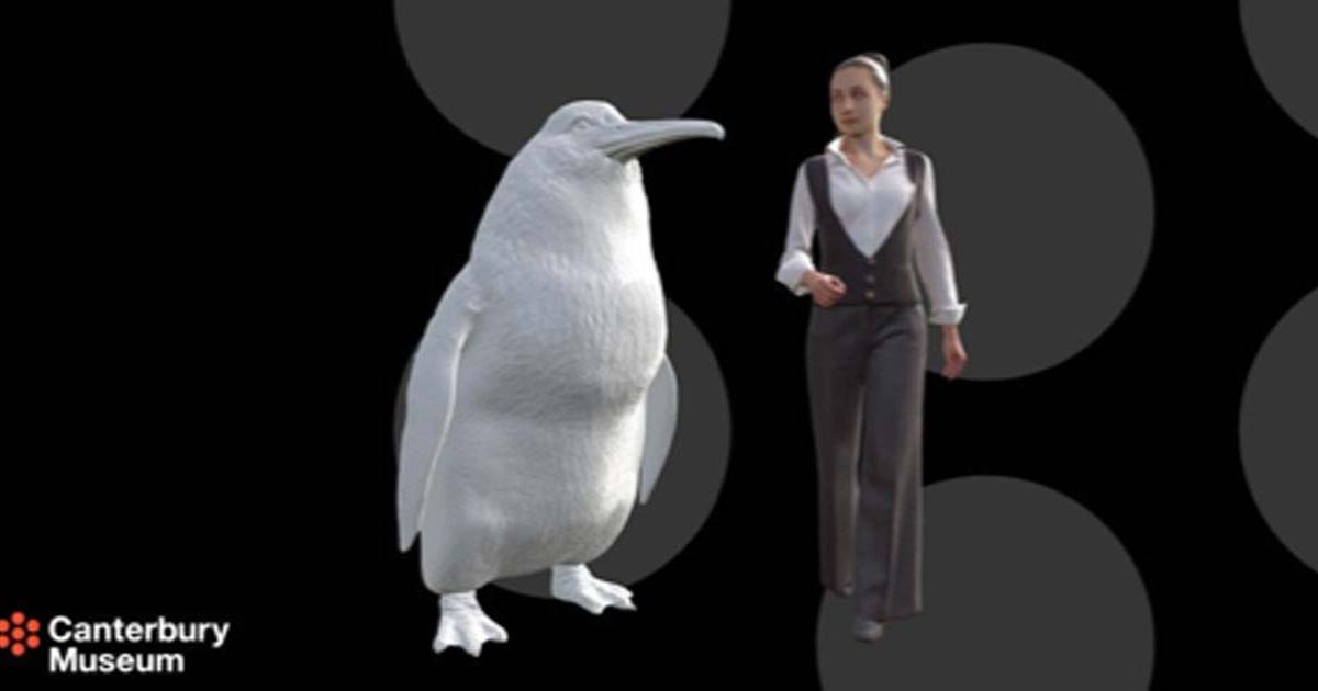 Huge Penguins Added to the List of New Zealand’s Extinct Species ...