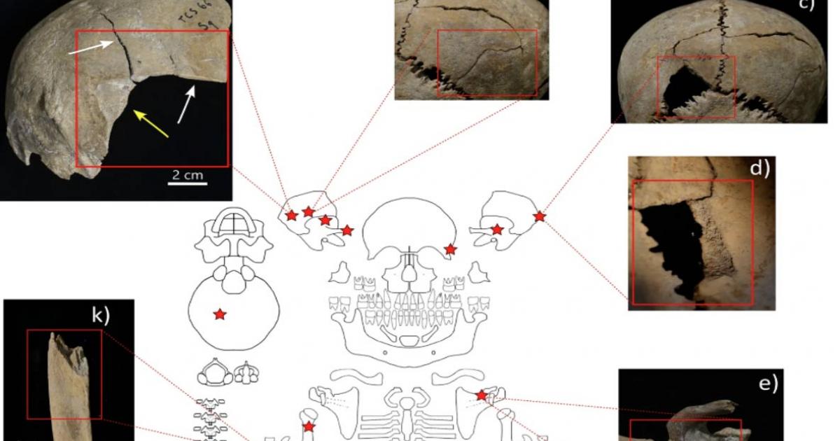 Human Sacrifice or Tsunami? 20 Celt Skeletons in Switzerland Offer ...
