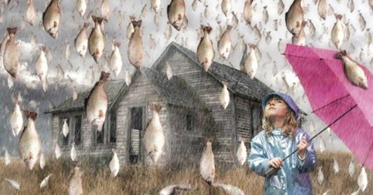 Raining Cats and Dogs? No, Just Fish | Ancient Origins