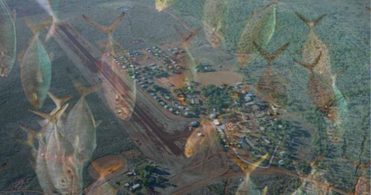 Raining Fish Reported Near the Australian Desert | Ancient Origins
