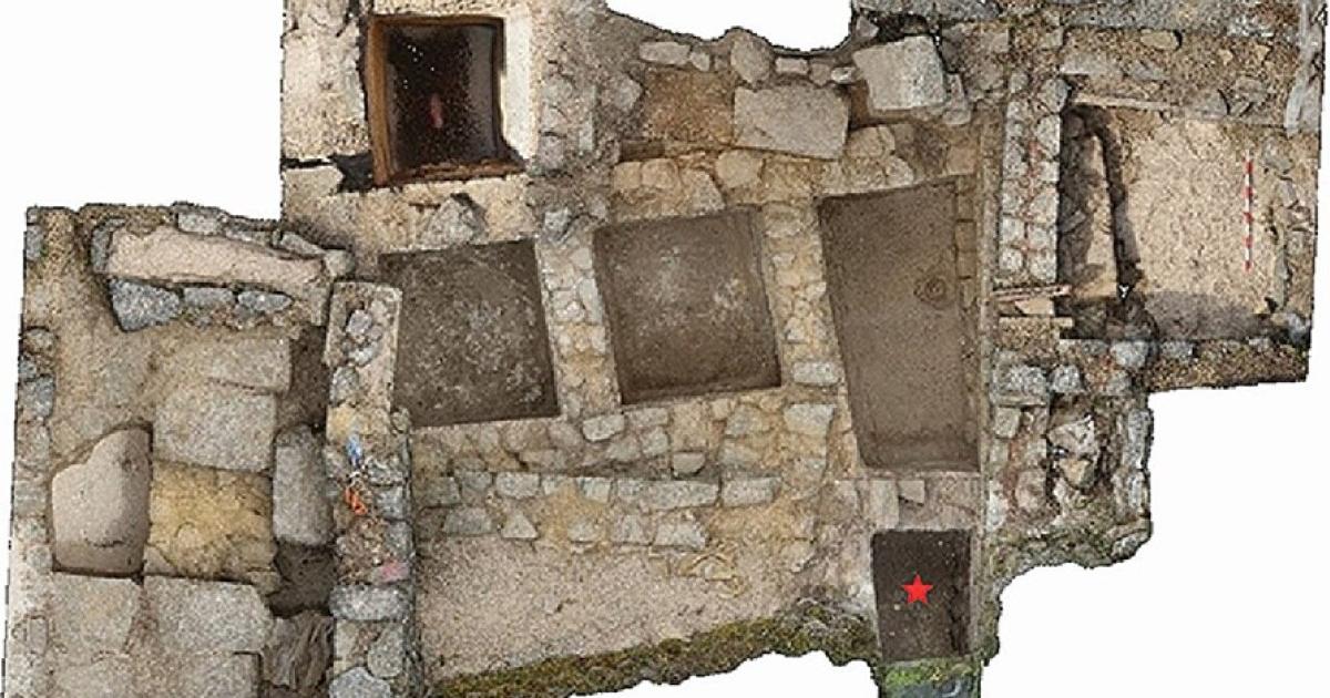 Ancient DNA From Roman Salting Vat Points to Fish Sauce as Secret ...