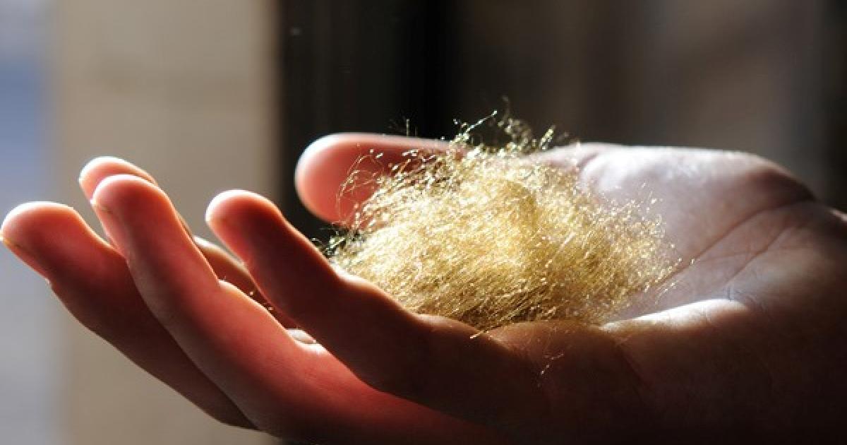 One Person Left on Earth Knows the Ancient Secret of Producing Sea Silk ...