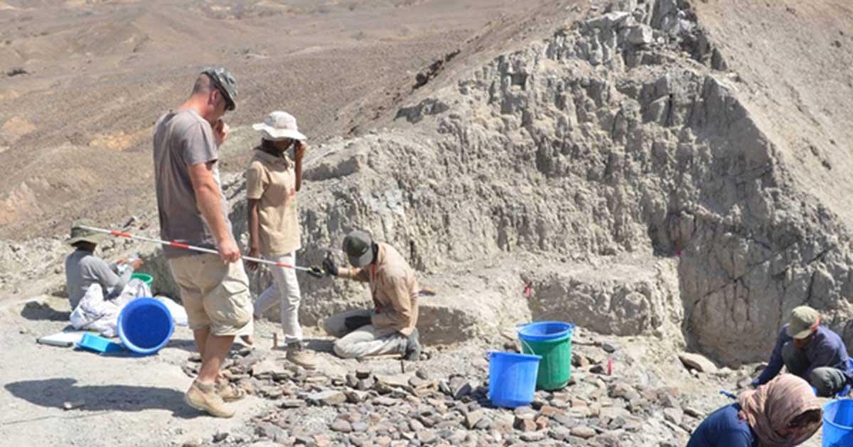 World’s Oldest Stone Tools and Weapons Found in Ethiopia | Ancient Origins