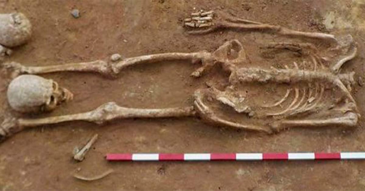 450 Headless ‘Vampire’ Skeletons Unearthed in Mass Grave in Poland ...