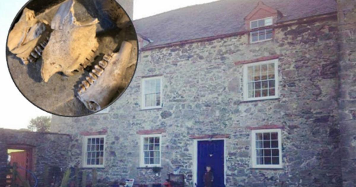 Hidden Welsh Witchcraft Den And Demon Traps Discovered In Old Home ...