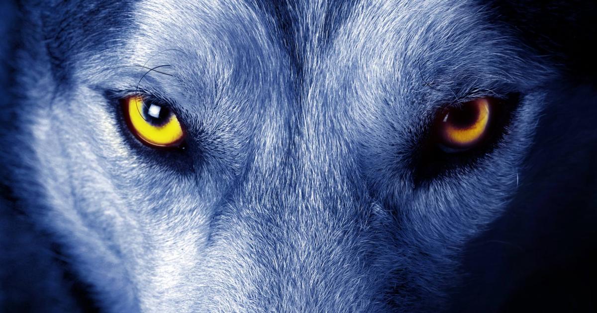 Fenrir: The Monstrous Wolf of Norse Legend | Ancient Origins