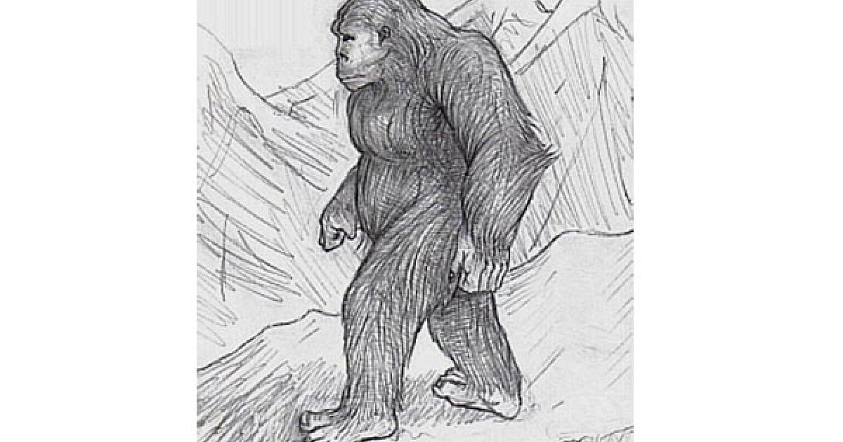 DNA study solves mystery of Himalayan Yeti, with surprising results ...