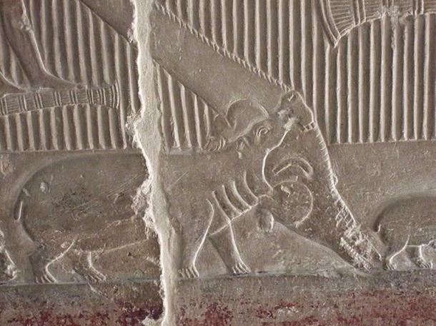 How Hungry, Hungry Hippos Started a War in Ancient Egypt | Ancient Origins