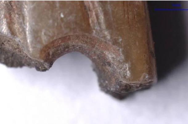 World’s Oldest Ground Stone Needles Found in Tibet, Dated to 9,000 ...