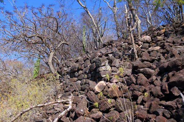 Tamoanchan – In Search of the Lost Cradle of Mesoamerican Civilizations ...