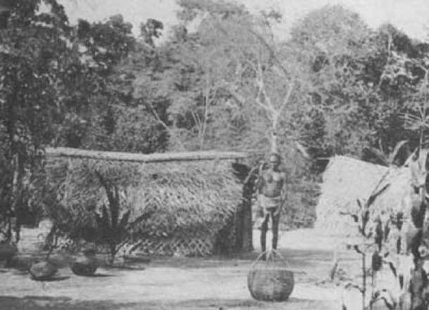 Meet the Half Million-year-old Jungle People of Sri Lanka! The ...