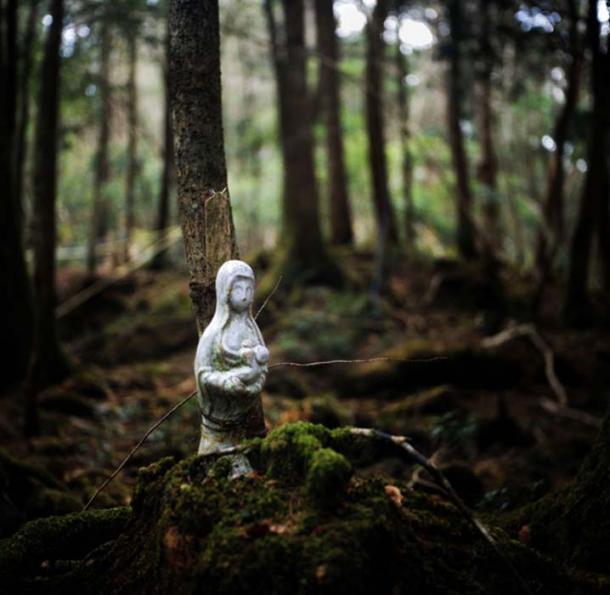 The Aokigahara Forest of Japan: Many Enter, But Few Walk Out Alive ...