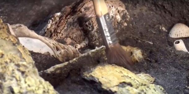 First Ever Aztec Royal Burial Site Could Be Indicated By Jaguar ...