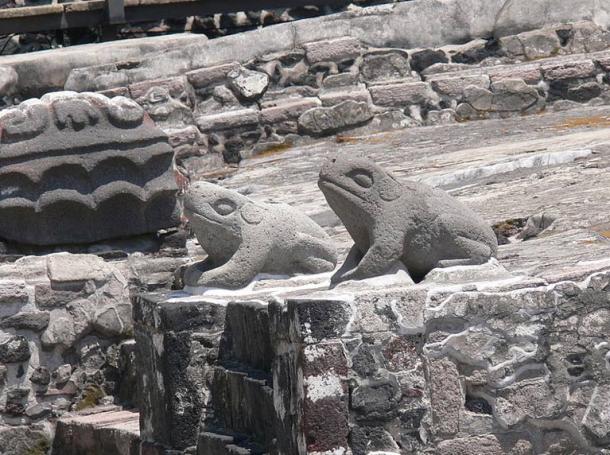 Sacrificial gifts found at Aztec Temple in Mexico feature a trove of ...