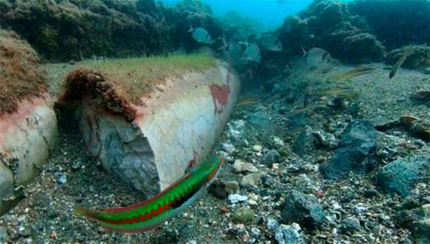 Stunning Roman Villas Unearthed in Underwater Ruins of Ancient Baiae ...