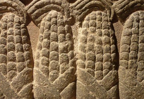 Ancient Burial Brings New Date Of First Maize Use In Mesoamerica ...