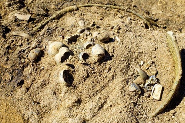 Massive Stash of Illegal Artifacts and 1000s of Human Bones Recovered ...