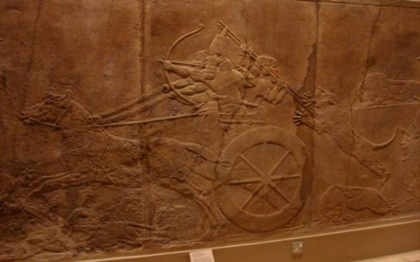 Hunting the Lions: The Last King of Assyria, and the Death of the ...
