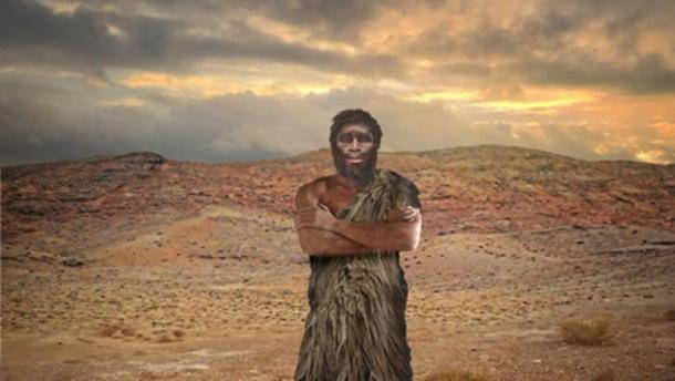 Modern Humans Interbred With At Least Five Archaic Human Groups ...