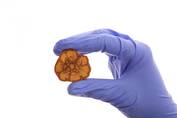 Study Finds Hallucinogenic Ayahuasca Tea Trip Matches That of Placebo ...