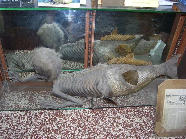 The Fiji Mermaid: What Was the Abominable Creature and Why Was It So ...
