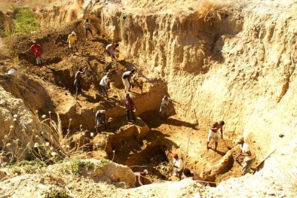 Humans were Hunting the Largest Bird in the World on Madagascar 10,500 ...