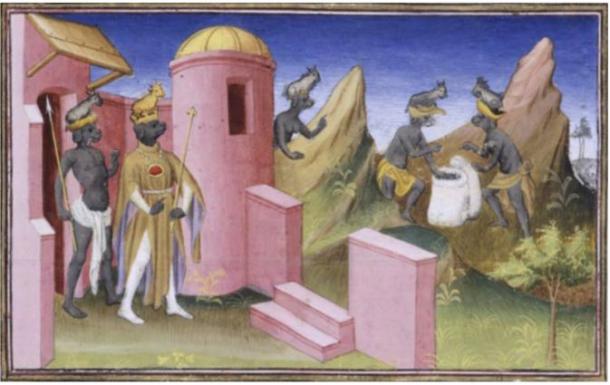 Cynocephaly and the mythological dog-headed human | Ancient Origins