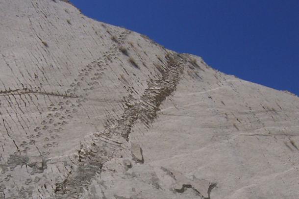 Footprints on the Wall: Were Dinosaurs Actually Climbing the Cliffs in ...