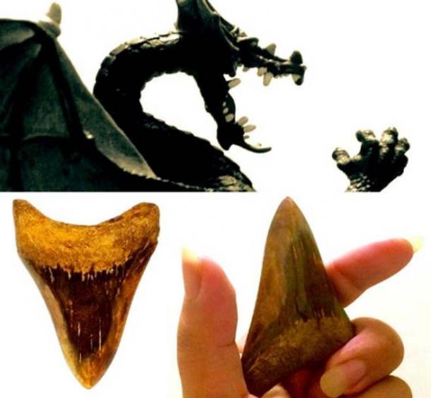 Unearthing Unexpected Fossil Usage in Ancient Medicine (Part 1): Ogre ...