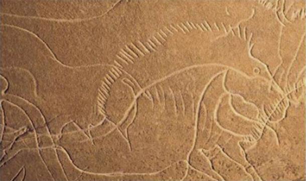 Grotte de Cussac And The Mystery Of The Cave Bear Nest Burials ...