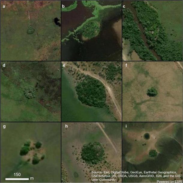 Earliest Amazon Inhabitants Created Thousands of 'Forest Islands ...