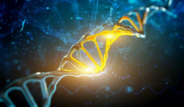 How Ancient Fossil DNA Reveals the Secrets of Our Human Origins ...