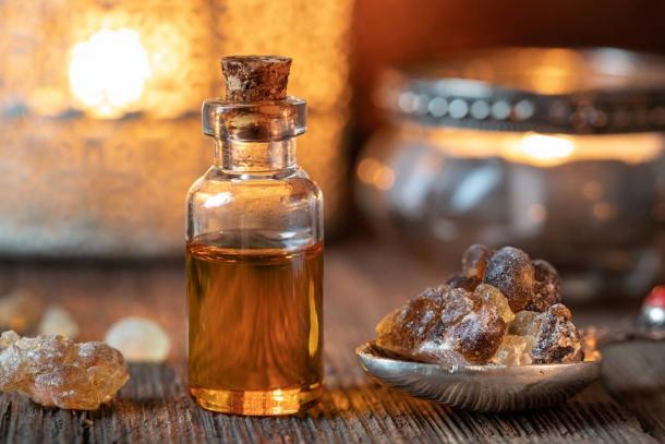 Frankincense: An Ancient Wonder Cure on the Verge of Extinction ...
