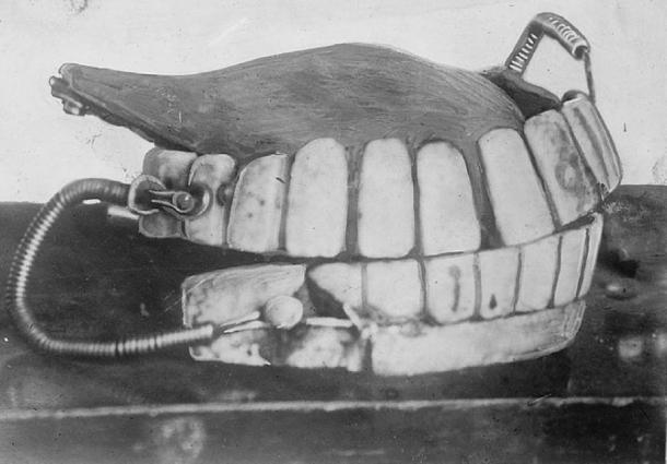 Waterloo Teeth: Wearing A Dead Man’s Grin | Ancient Origins