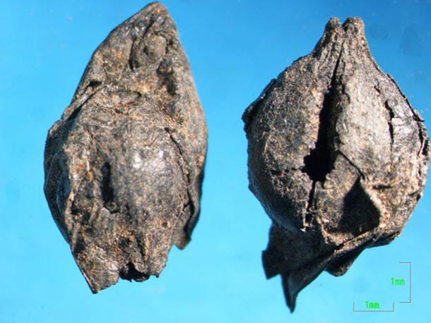 Oldest Wine in Europe Found at Prehistoric Greek Site | Ancient Origins