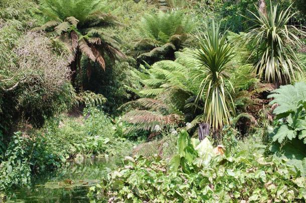 The Lost Gardens of Heligan: Rediscovering a Centuries-Old Paradise ...