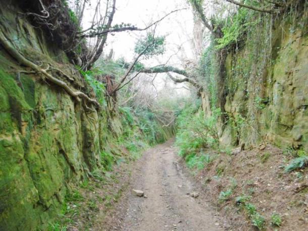 Unlocking the Secrets of the Holloways: An Exploration of England's ...