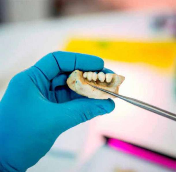 Are You Related To An Ancient VIP? | Ancient Origins