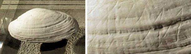 Neuro-imaging and Ancient Engravings Allow Experts to Understand ...
