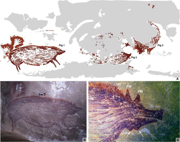 Warty Pig Cave Painting Discovered in Indonesia is a Game Changer ...