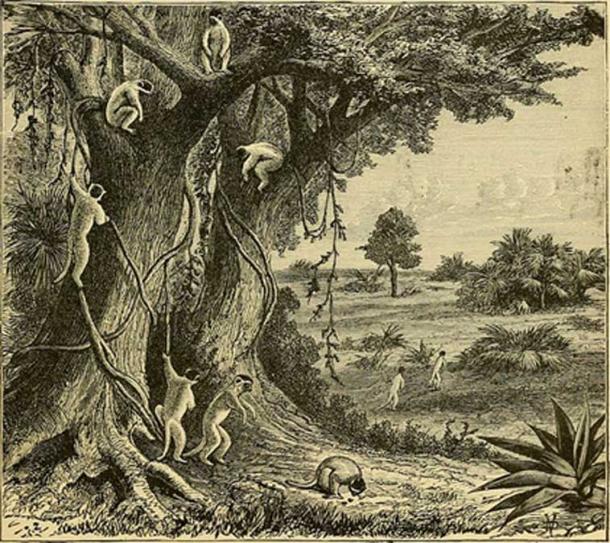 Most Likely Locations for Lost Lemuria | Ancient Origins