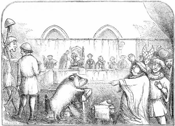 Medieval Justice: Pig Was Tried in Court, Sentenced and Executed for ...