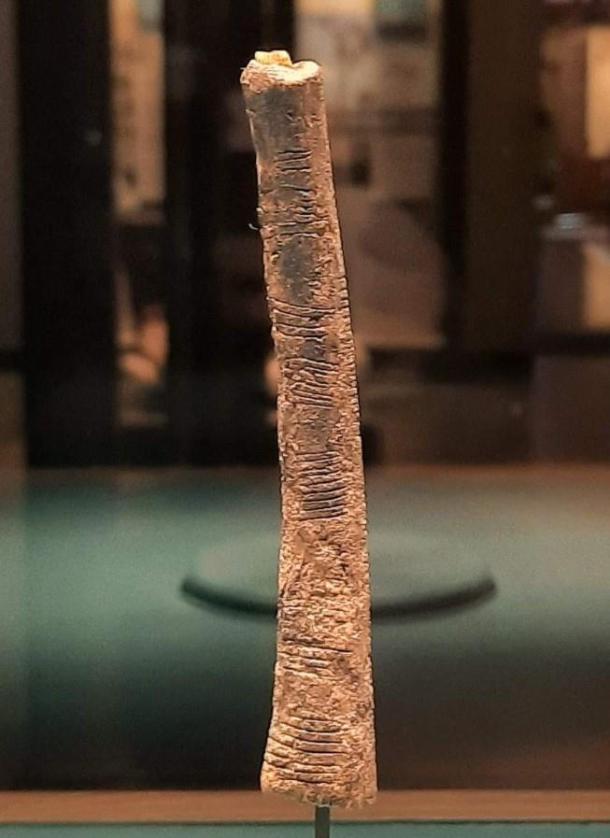 Was Humanity More Advanced in Prehistoric Times Than We Think ...