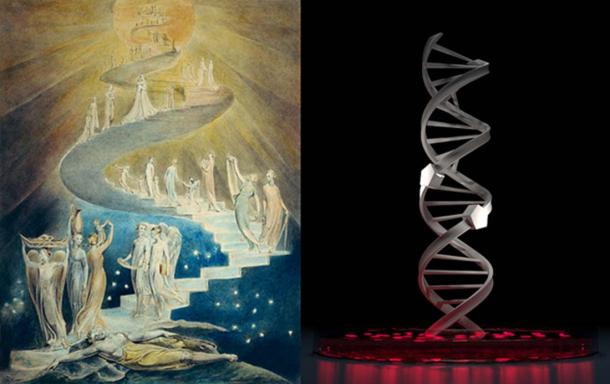 Hopes, Fears, Progress…and Maybe DNA? Unravelling the Real Meaning of ...