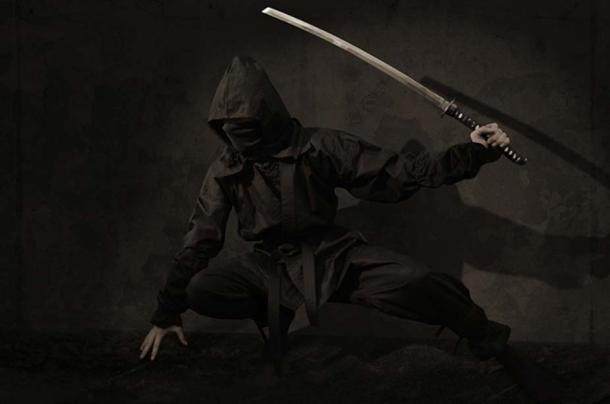 This Too Shall Pass: Will Jinichi Kawakami Be the Last of the Ninjas ...