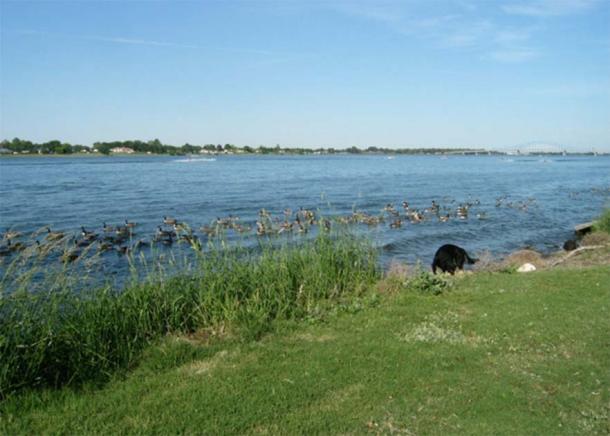 How DNA Analysis Ended Scientific Disputes in the Case of the Kennewick ...