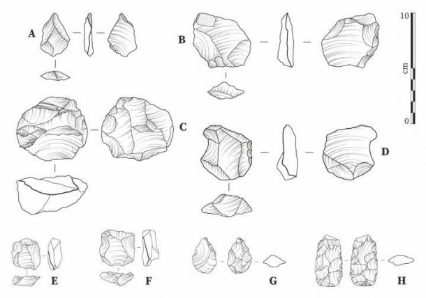 Human Evolutionary Theory Needs Updating, Again | Ancient Origins