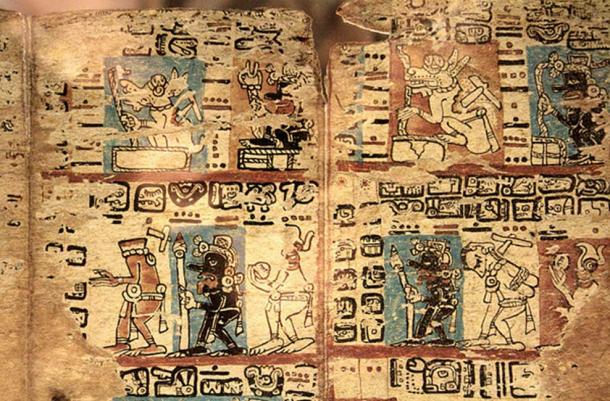 Experts in Mexico Finally Declare the Grolier Codex is the Real Deal ...
